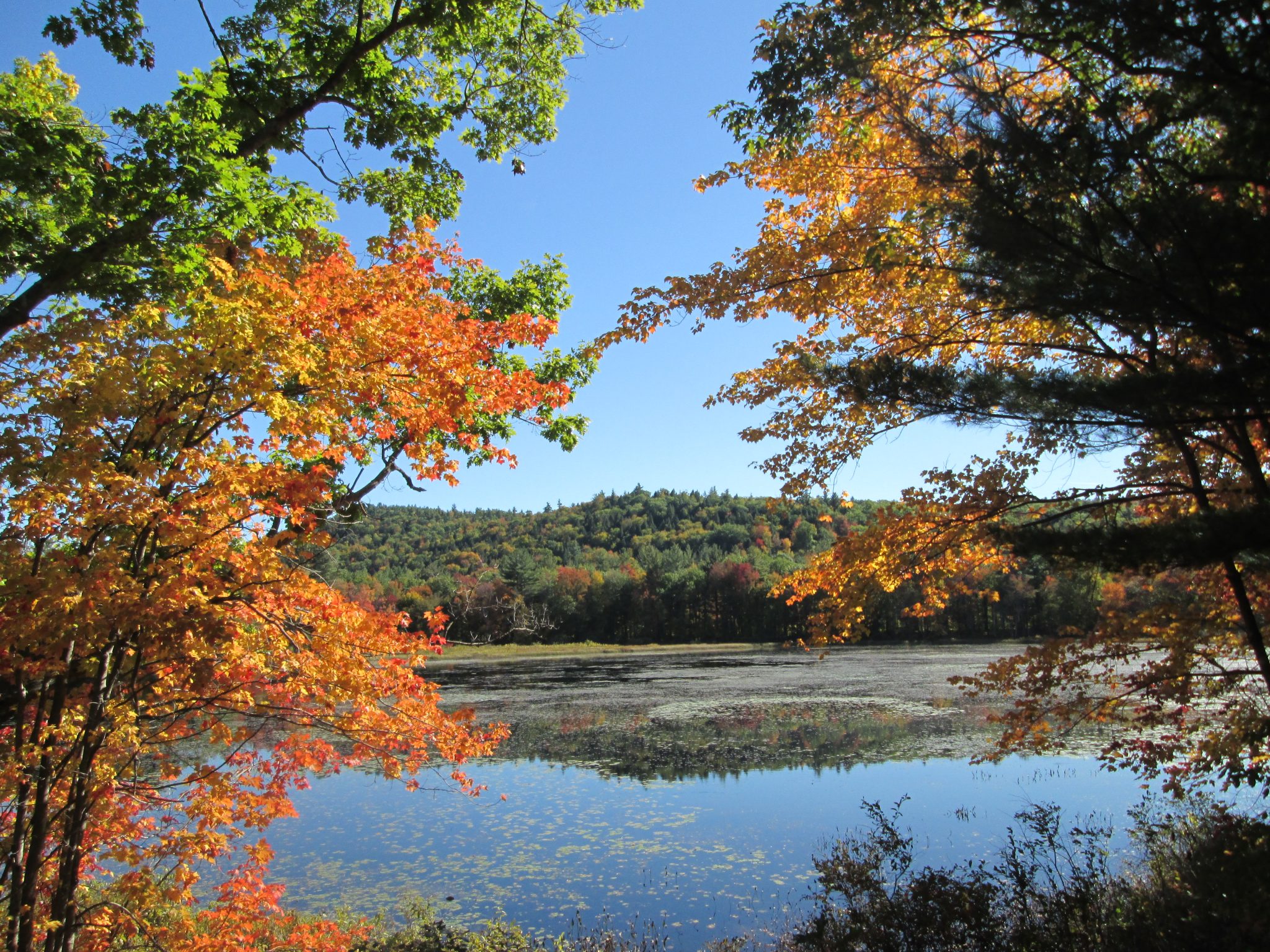 TH-Northern – NH Rail Trails Coalition