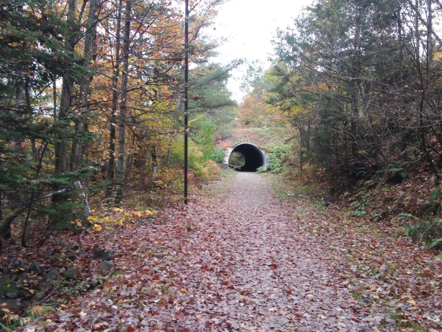 Fall on the Northern Rail Trail – NH Rail Trails Coalition