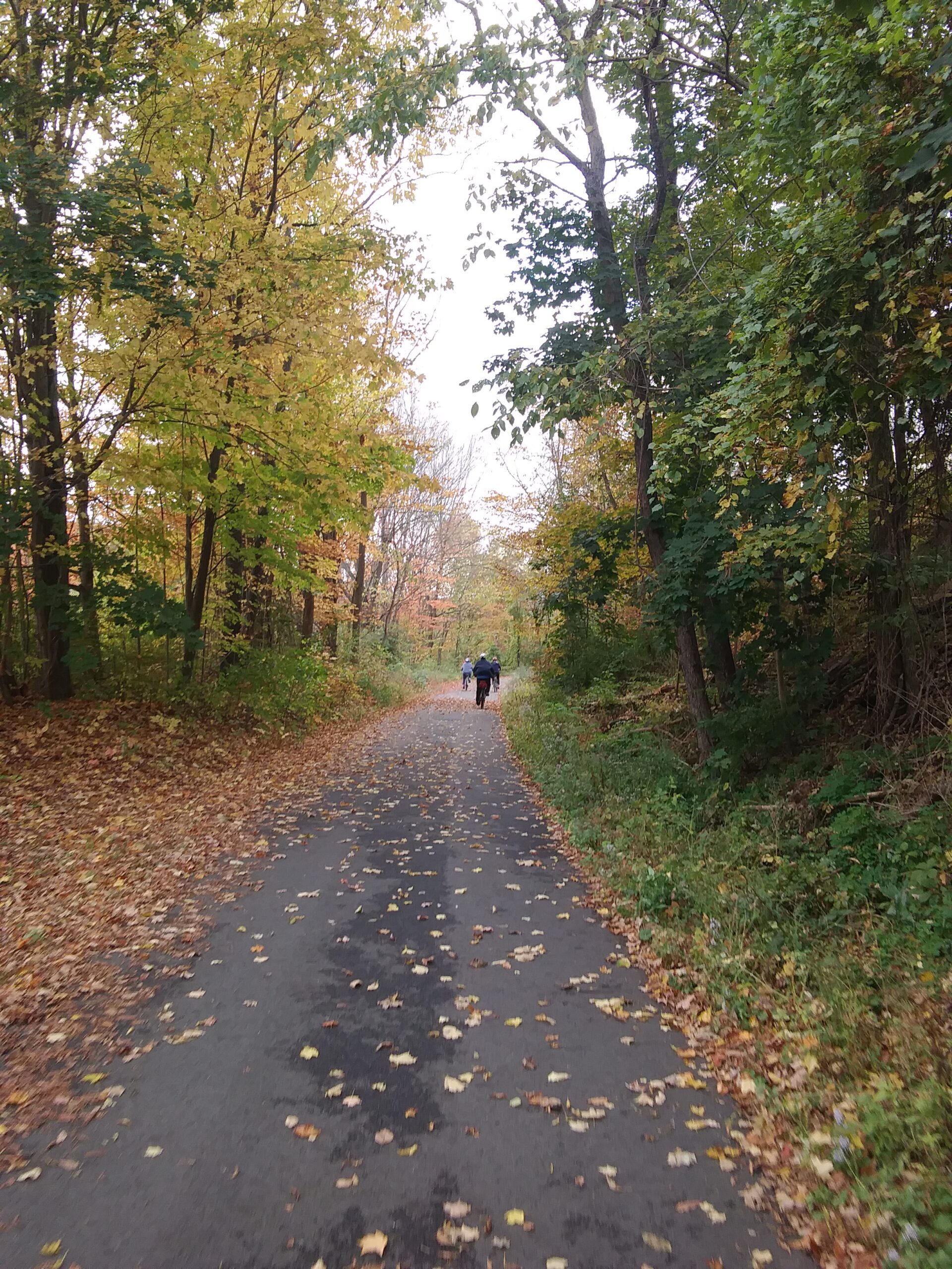Fall on the Northern Rail Trail – NH Rail Trails Coalition